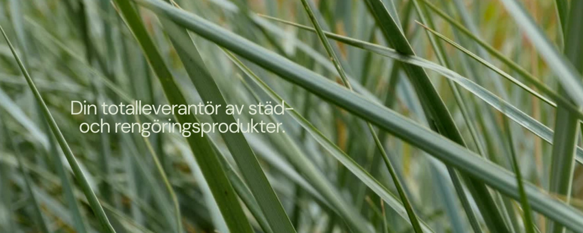 Visab i Skandinavien Ab