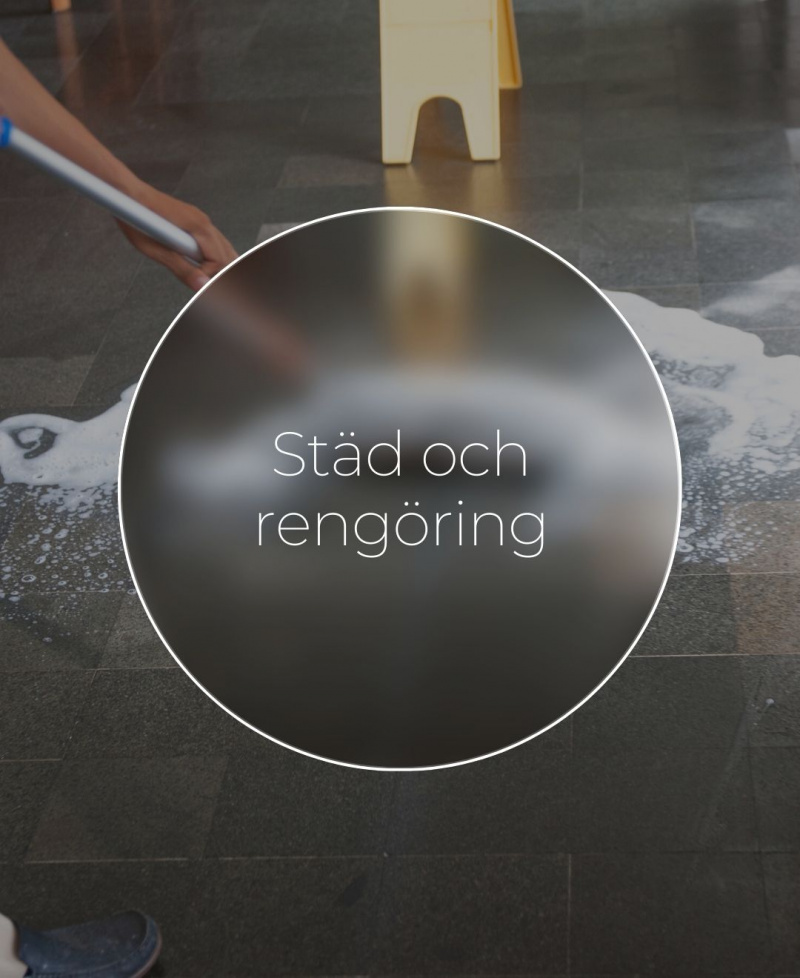 Visab i Skandinavien Ab